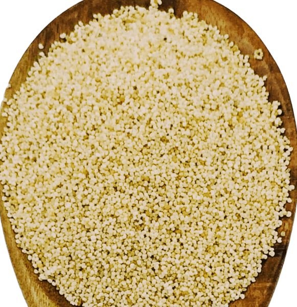 poppyseedswhitecrop-508512_grande.png?v=1615459512